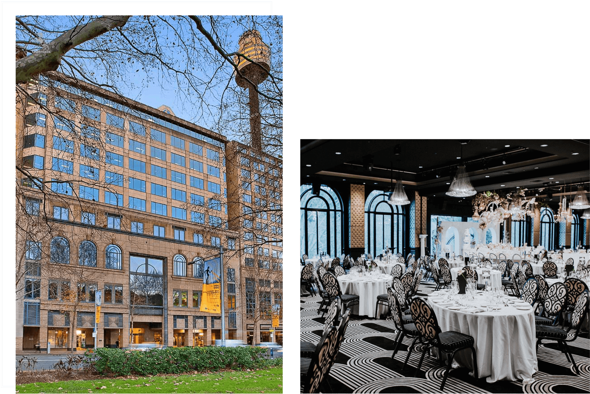 CIO Network Effect: Driving Role-Defining Initiatives Through Proven ...